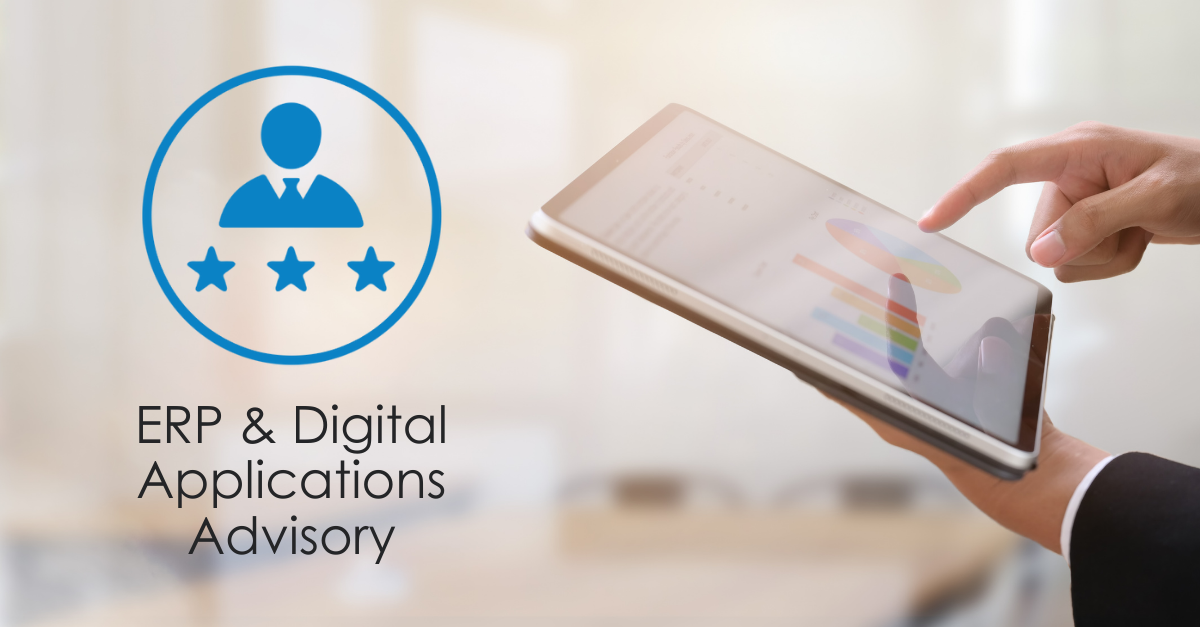 ERP Advisory
